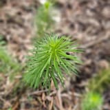 Fitzroy Falls East Rim and Wildflower Track, New South Wales, Australia ...