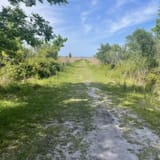 Bolen Bluff Trail, Florida - 1,004 Reviews, Map | AllTrails