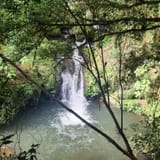 Border Track and Box Forest Circuit, Queensland, Australia - 812 ...