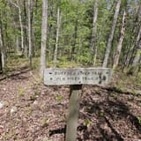 Buffalo River Trail: Steel Creek Campground to Erbie Campground ...