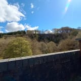 Plymbridge Circular, Devon, England - 143 Reviews, Map | AllTrails