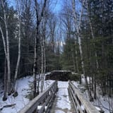 Franconia Brook Trail, New Hampshire - 323 Reviews, Map | AllTrails