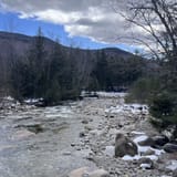 Franconia Brook Trail, New Hampshire - 323 Reviews, Map | AllTrails