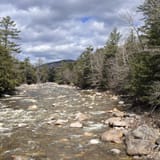 Franconia Brook Trail, New Hampshire - 323 Reviews, Map | AllTrails