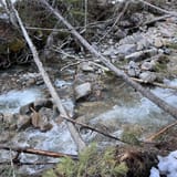 Franconia Brook Trail, New Hampshire - 323 Reviews, Map | AllTrails