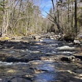 Franconia Brook Trail, New Hampshire - 323 Reviews, Map | AllTrails