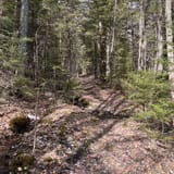 Franconia Brook Trail, New Hampshire - 323 Reviews, Map | AllTrails