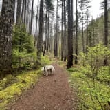 Eagle Creek Trail, Oregon - 825 Reviews, Map | AllTrails
