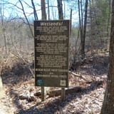 Birch Grove Connector Trail and North Country Trail Loop, Michigan ...