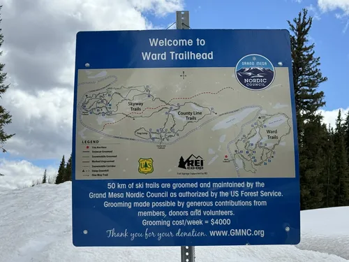 Best Short Trails in Grand Mesa National Forest | AllTrails