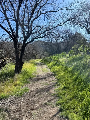 Best Walking Trails in Cornville | AllTrails