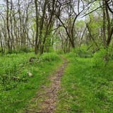 Windolph Landing Preserve Trail, Pennsylvania - 85 Reviews, Map | AllTrails