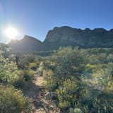 Linda Vista Loop Trail, Arizona - 3,138 Reviews, Map | AllTrails