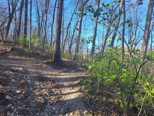 Best Moderate Trails in Weldon Spring Conservation Area | AllTrails