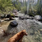 Boulder Creek Falls via Boulder Creek Trail, California - 143 Reviews ...
