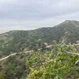 Runyon Canyon Trail, California - 8,117 Reviews, Map | AllTrails