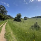 Pinto Lake County Park Loop, California - 356 Reviews, Map | AllTrails