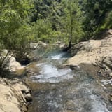 Cold Spring Loop, California - 2,189 Reviews, Map | AllTrails