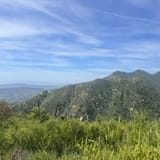 Cold Spring Loop, California - 2,189 Reviews, Map | AllTrails