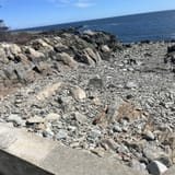 Timber Point, Maine - 397 Reviews, Map | AllTrails