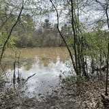 Plateau Trail, Ohio - 3,357 Reviews, Map | AllTrails