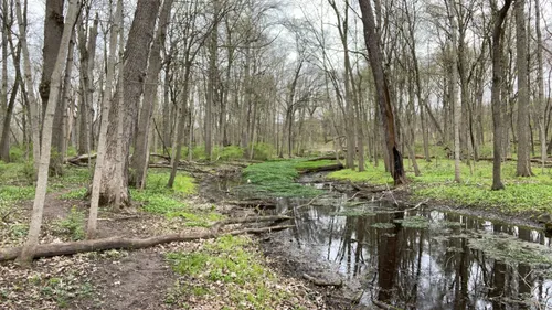 Best Kid Friendly Trails in Plano | AllTrails