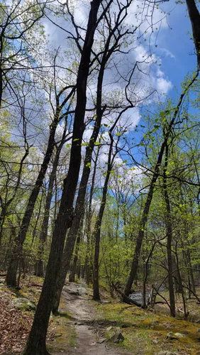 Best Hikes and Trails in Berkeley Springs | AllTrails