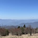 Andrews Bald Trail, North Carolina - 2,423 Reviews, Map | AllTrails