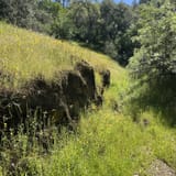 Old Flume Trail (Red Shack Trail), California - 810 Reviews, Map ...