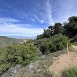 Newhall Pass: Weldon Canyon Trail, California - 236 Reviews, Map ...