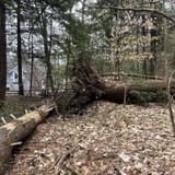 Chamberlain-Reynolds Memorial Forest Loop, New Hampshire - 1,028 ...