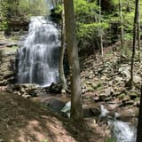 Denny Cove Waterfall Trail , Tennessee - 1,147 Reviews, Map | AllTrails