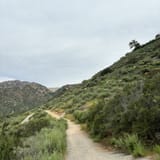 Lake Poway Loop Trail, California - 2,628 Reviews, Map | AllTrails