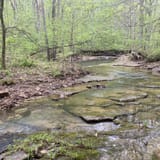 Panther Den Loop, Illinois - 1,021 Reviews, Map | AllTrails