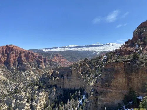 Best Trail Running Trails in Dixie National Forest - Cedar City Ranger ...