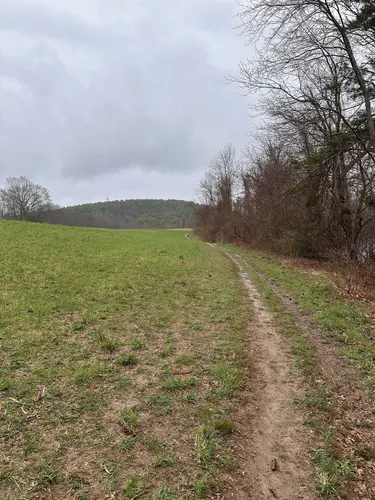 Best Hikes and Trails in Battis Farm | AllTrails