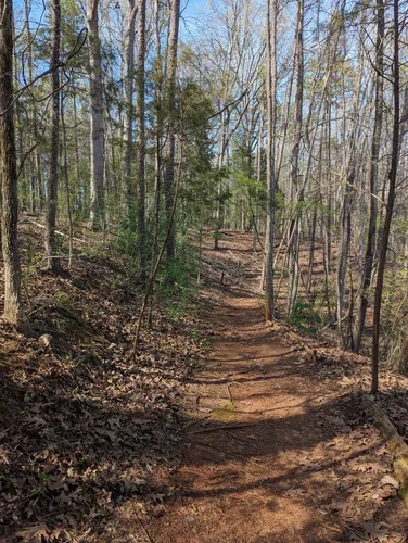 Best Forest Trails in Lancaster | AllTrails