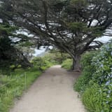 Point Lobos Loop, California - 7,564 Reviews, Map | AllTrails