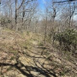 Buffalo Mountain Trail, Virginia - 722 Reviews, Map | AllTrails