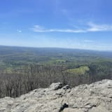 Buffalo Mountain Trail, Virginia - 722 Reviews, Map | AllTrails