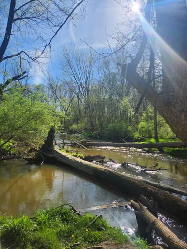Best Hikes and Trails in Firestone Metro Park | AllTrails