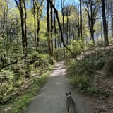Washington Park Loop, Oregon - 1,671 Reviews, Map | AllTrails