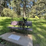Washington Park Loop, Oregon - 1,671 Reviews, Map | AllTrails