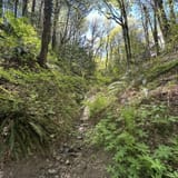Washington Park Loop, Oregon - 1,671 Reviews, Map | AllTrails