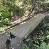 Washington Park Loop, Oregon - 1,671 Reviews, Map | AllTrails