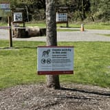 Washington Park Loop, Oregon - 1,627 Reviews, Map | AllTrails