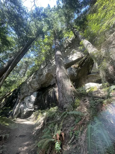 Best Hard Trails in Larrabee State Park | AllTrails