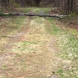 Quabbin Reservoir via Gate 40, Massachusetts - 204 Reviews, Map | AllTrails