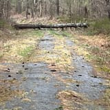 Quabbin Reservoir via Gate 40, Massachusetts - 204 Reviews, Map | AllTrails