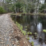 Quabbin Reservoir via Gate 40, Massachusetts - 204 Reviews, Map | AllTrails